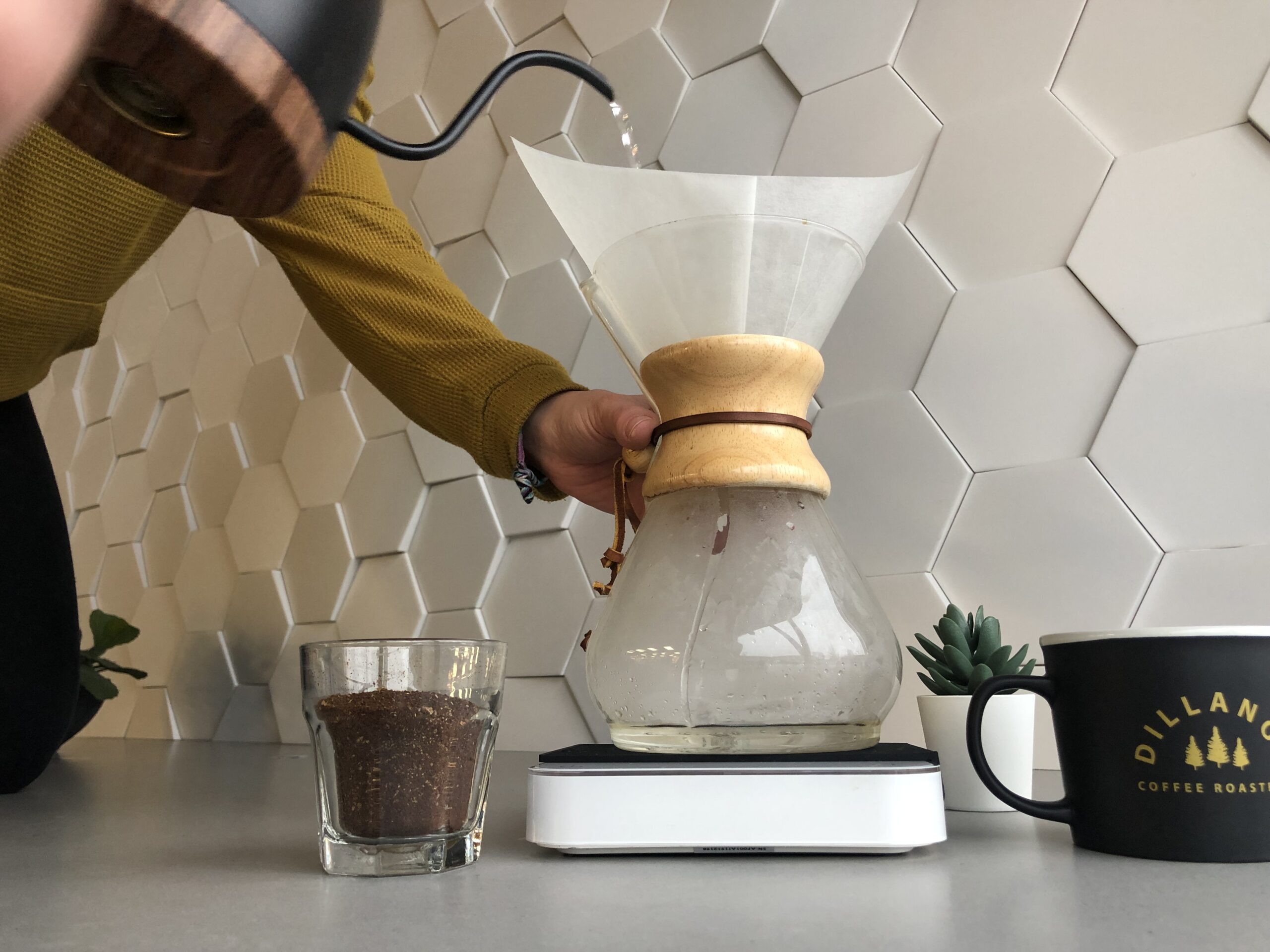 Chemex Brewer | Dillanos Coffee Roasters